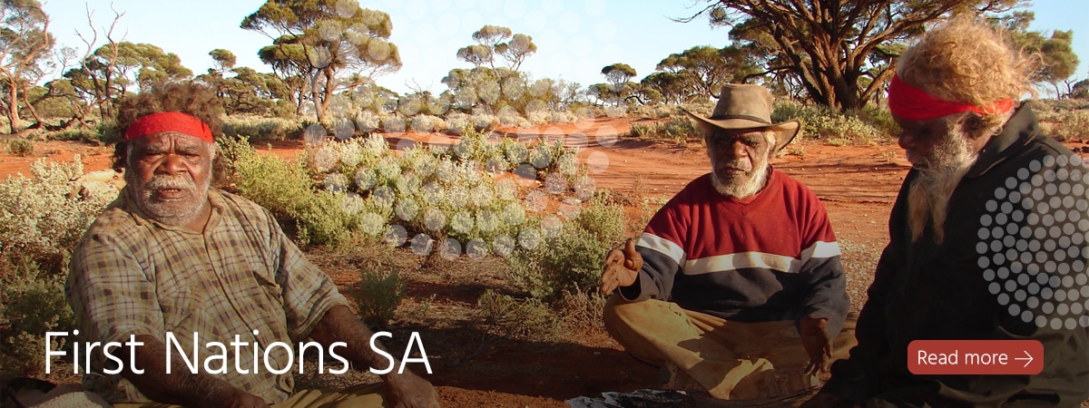 Home [www.nativetitlesa.org]