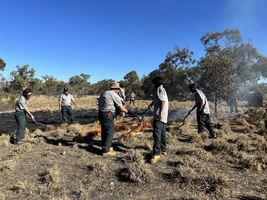 The Significance of Cultural Burning for the Nukunu People - SA Native ...